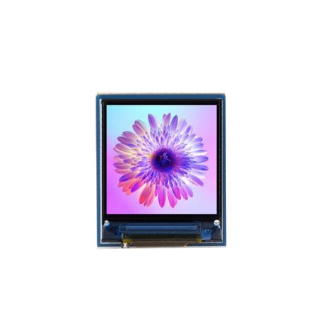 Buy Inch LCD Display Module IPS Panel Resolution K Colors SPI Interface Online