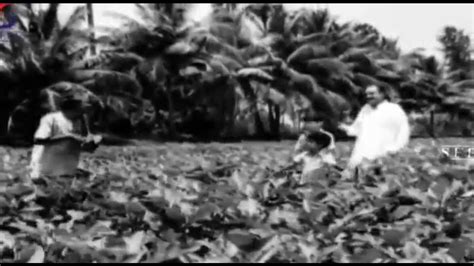 Muthukku Muthaga 2 From Movie Anbu Sagotharargal Youtube Music