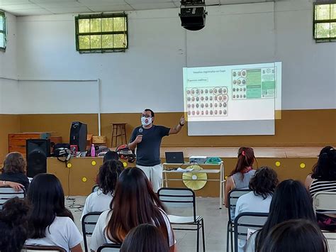 Proyecto Vaquitas De San Antonio Cómo Es La Iniciativa Que Busca