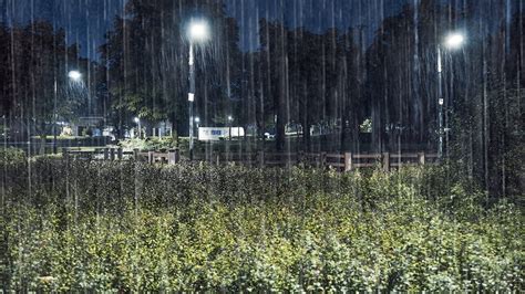 아름다운 밤에 편안한 빗소리 Asmr과 함께 즉시 잠들기 불면증을 위한 백색소음 스트레스에 좋은 힐링 비오는소리 Youtube