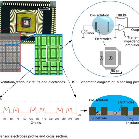 A Photographs Of The Integrated Chip The Sensing Area And The Download Scientific Diagram