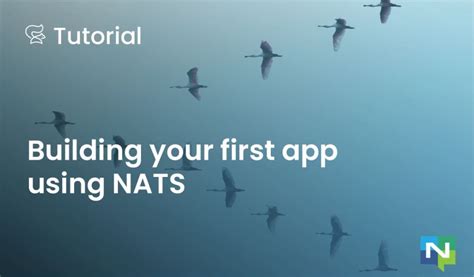 How To Deploy In Acorn Acorn Labs Posted On The Topic Linkedin