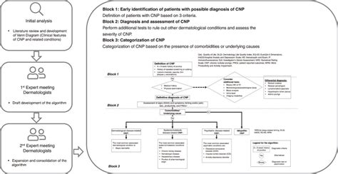 Consensus On The Diagnostic Algorithm For Chronic Nodular Prurigo Actas Dermo Sifiliográficas