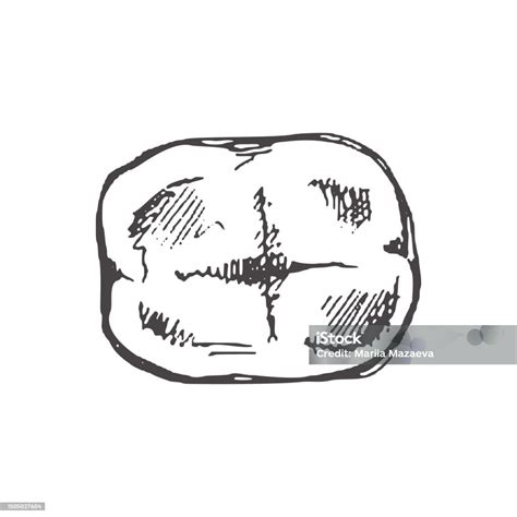 뿌리가 있는 매우 상세한 손으로 그린 인간의 치아 손으로 그린 스케치입니다 어금니 평면도 그림은 흰색 배경에 분리되어 있습니다 개념에 대한 스톡 벡터 아트 및 기타 이미지