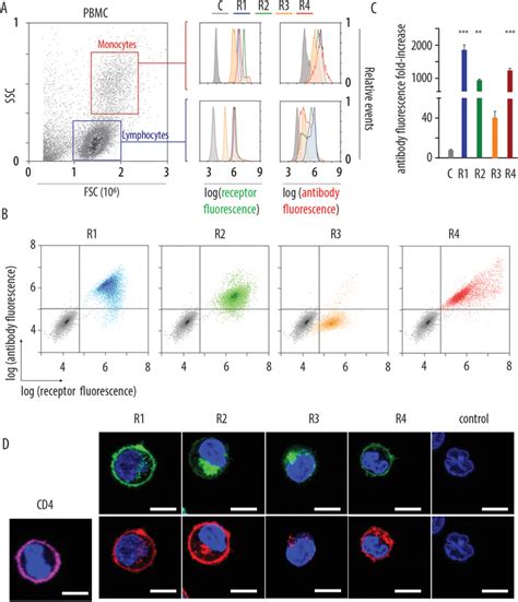 Ab Flow Cytometry Dot‐plot Analysis Of Fluorescence For Peripheral