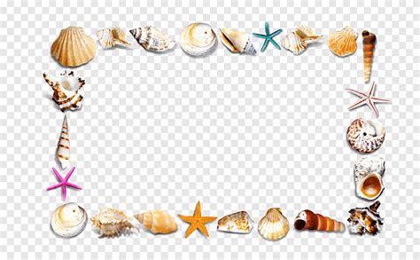 Borde De Concha Para Etiquetas Concha 4