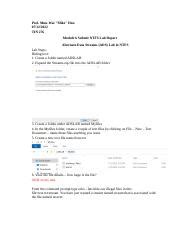 Module Submit NTFS Lab Report Docx Prof Mun Wai Mike Hon TIN Module Submit