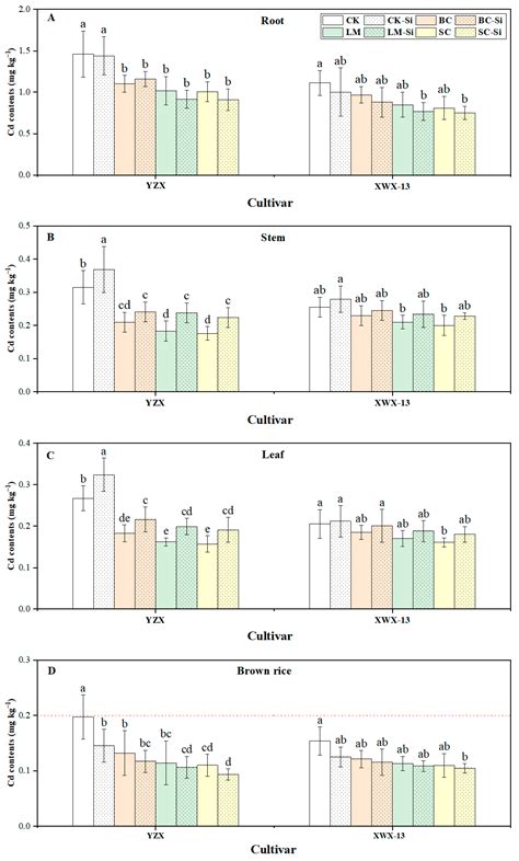 Agronomy Free Full Text Silicon Calcium Fertilizer Application And Foliar Spraying With