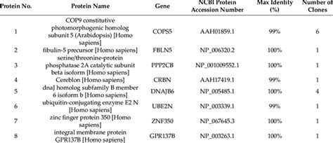 Blast Results For Clones Obtained From The Yeast Two Hybrid Screenint