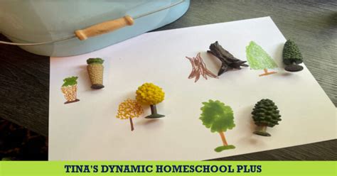 Celebrate Arbor Day With A Fun Flowering Cherry Tree Activity