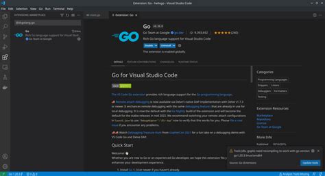Getting Started With The Go Programming Language GoLang Using VS Code Gigi Labs