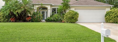 Home Pest Control In Sarasota Kellers Pest Control