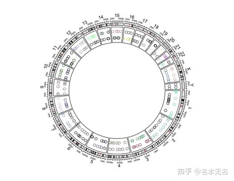 R 数据可视化 —— Circlize 基因组绘图函数 知乎