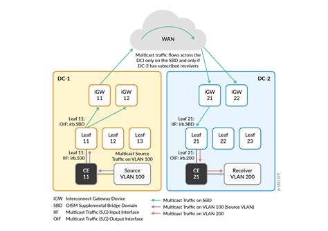 Evpn Vxlan Dci Multicast With Enhanced Oism Junos Os Juniper Networks
