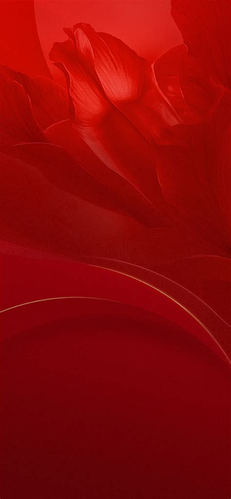 花瓣灵感详情页 花瓣网