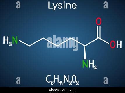 Lysine Is An Essential Amino Acid For Biosynthesis Of Proteins