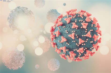 Truth About Test Flu Steroidify Blog