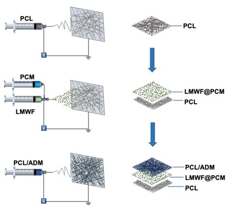 Scheme 1 Schematic Illustration Showing The Fabrication Of The Download Scientific Diagram