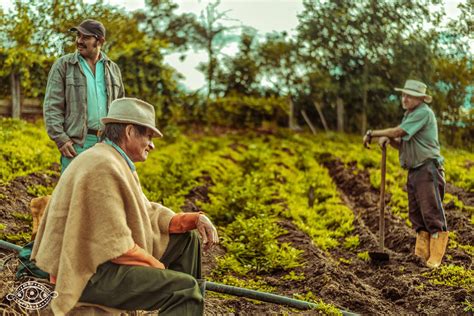 La Memoria Biocultural Del Campo En Las Fotos De Lucas Rodríguez