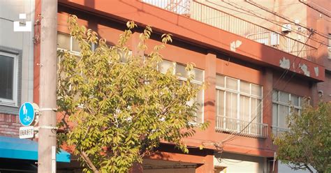 건물과 나무가 있는 길모퉁이 사진 Unsplash의 무료 거리 이미지