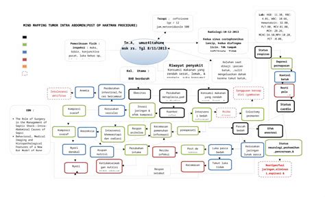 DOCX Mind Mapping Intra Abdomen DOKUMEN TIPS