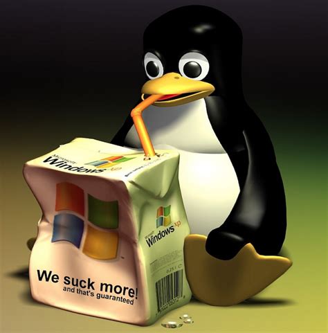 Linux Or Windows