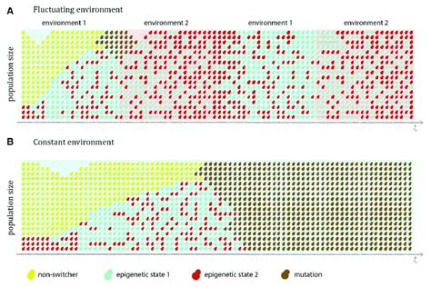 Schematic Representation Of The Results A In Fluctuating
