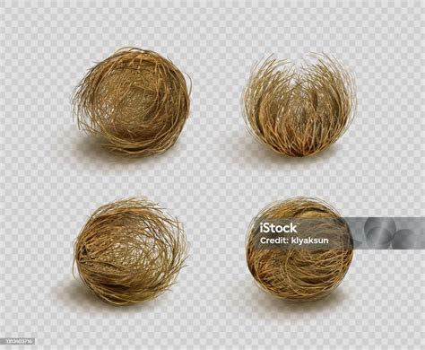 Ilustración De Bola De Hierba Seca Y Tumbleweed En El Desierto Y Más