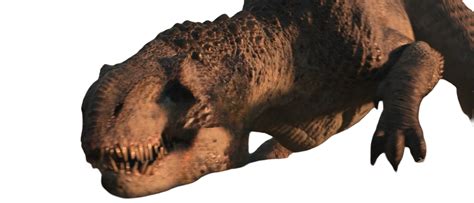 Fasolasuchus By Draco Awesomeness On Deviantart