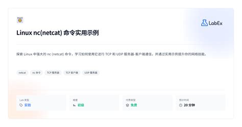 Linux Nc Netcat 命令：实战示例详解 Labex