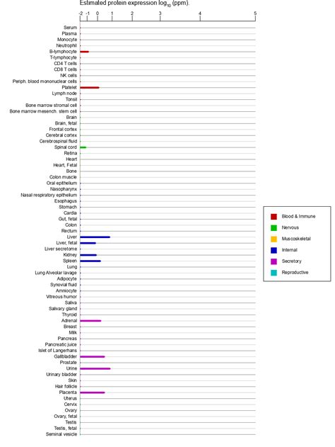 Abcb11 Gene Genecards Abcbb Protein Abcbb Antibody