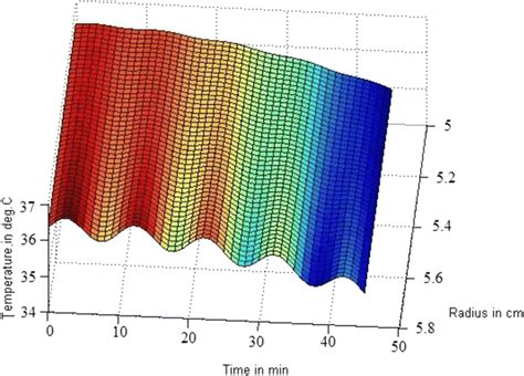 Spatiotemporal Temperature Distribution In Peripheral Region Of Human