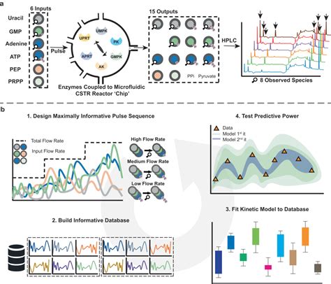 Nc速递：通过训练数据的迭代设计以控制复杂的酶反应网络 集智俱乐部