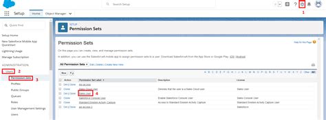 How Do I Enable Api Access In Salesforce Lightning Experience By The