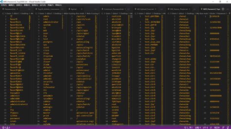 Web Fuzzing Box Web模糊测试字典与payloads 🔰雨苁ℒ🔰