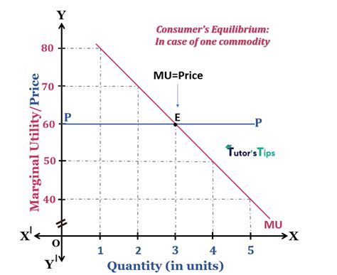 Consumers Equilibrium Utility Analysis Tutors Tips