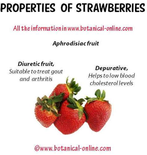 Strawberry Scientific Classification