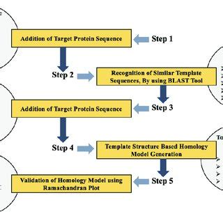 Use Of Bioinformatics Based Tools For Alignment Validation Download Scientific Diagram