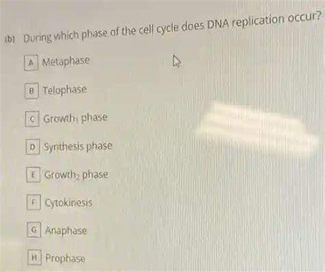 B During Which Phase Of The Cell Cycle Does Dna Replication Occur A Metaphase B Telophase C