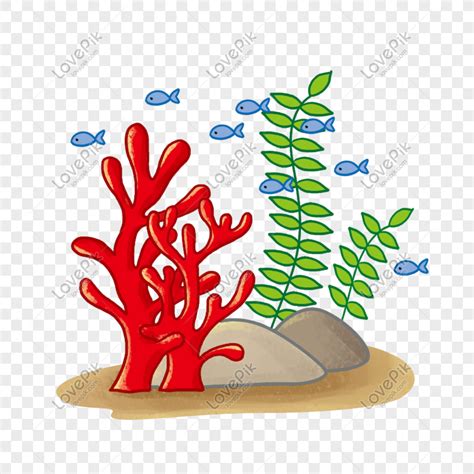 산호초 이미지 사진 401139026 무료 다운로드