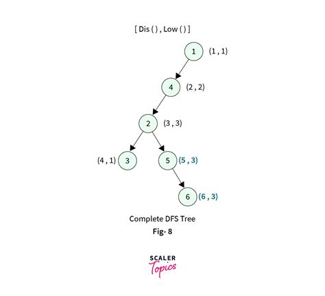 Biconnected Components Scaler Blog