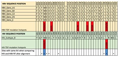 A Section Of The Reference Sequence Alignment Of Hbv Rt And Hiv Rt Download Scientific Diagram