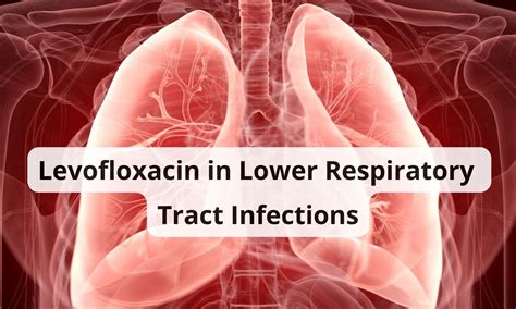 Understanding The Scope Of Levofloxacin In Lower Respiratory Tract