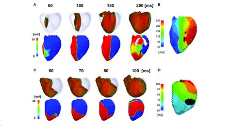 Effects Of Switching The Mode Of Conduction In The Model Shown In