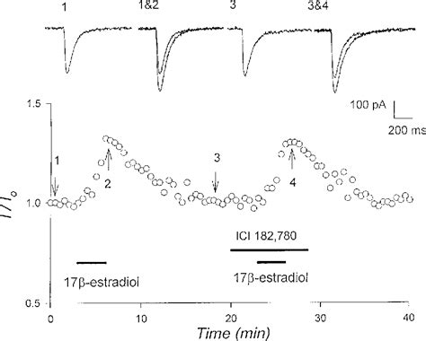 Figure 1 From Rapid Action Of 17 B Estradiol On Kainate Induced