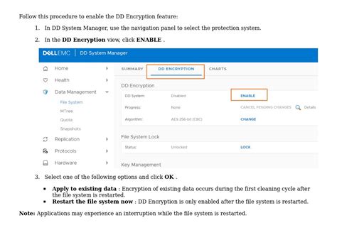 Enabling Dd Encryption Powerprotect Dd Series Appliances Encryption Software Dell