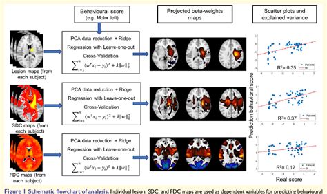 Figure 2 From Post Stroke Deficit Prediction From Lesion And Indirect