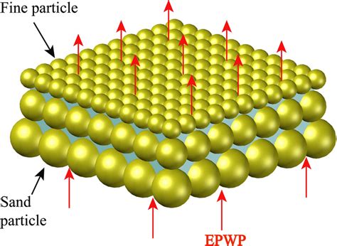 Schematic Distribution Of Soil Particle Deposited In Water Download Scientific Diagram