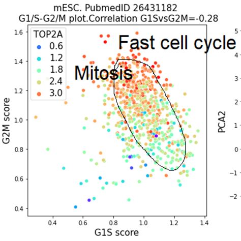 Scrna Seq Kolodziejczyk Et Al 2015 Kaggle