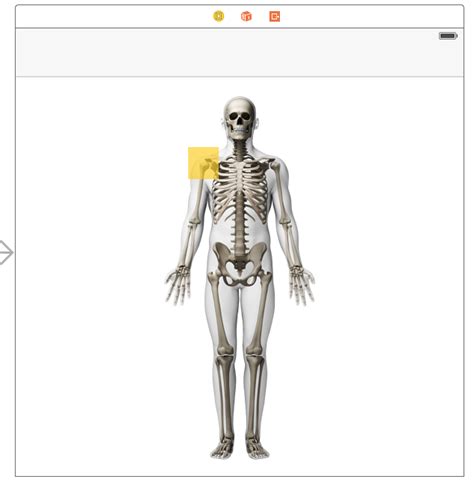 Ios Positioning Button Over Image Stack Overflow